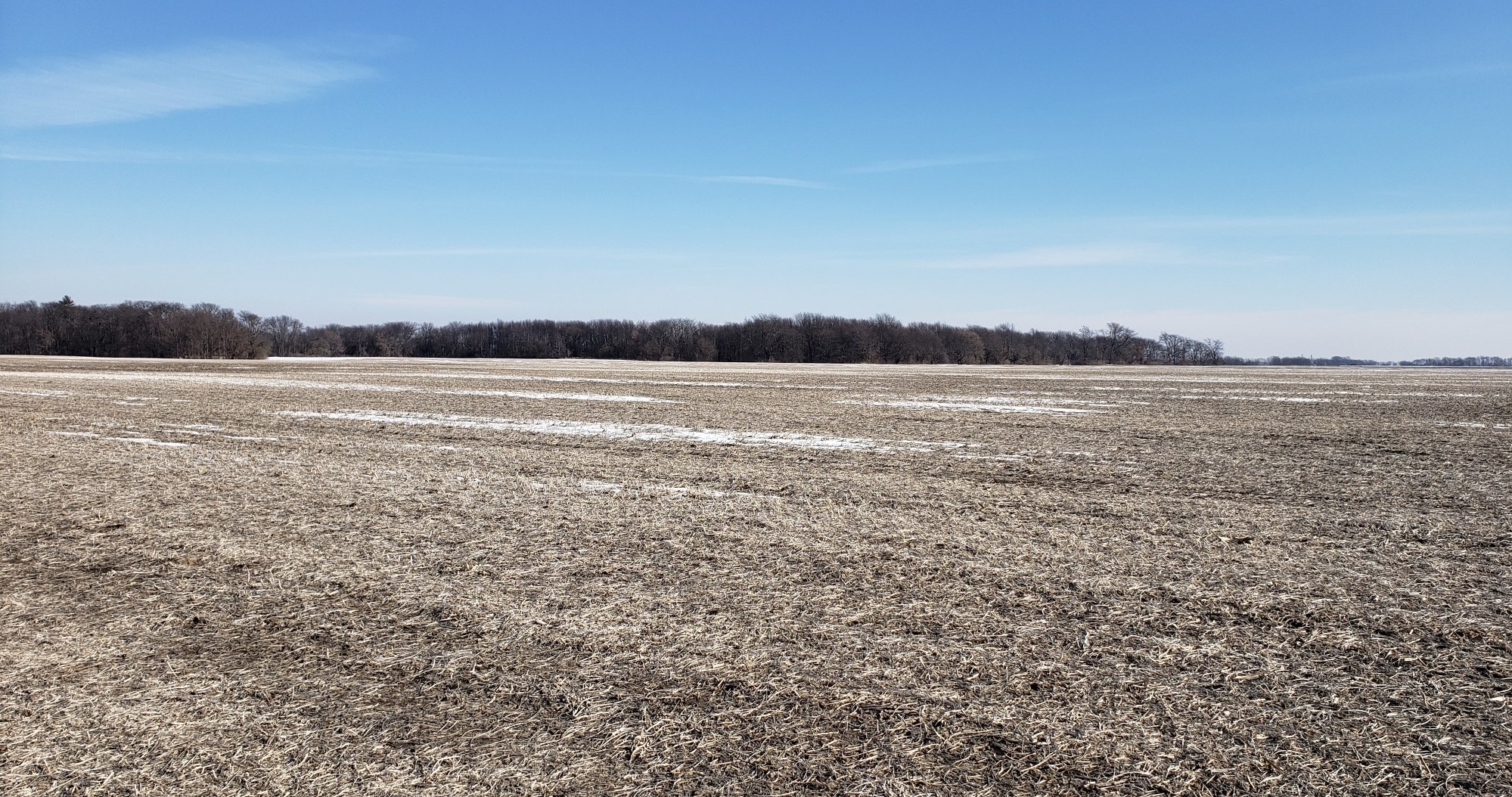 Live & Online Land Auction – 163 Acres – 2 Tracts in Knox County, IL ...